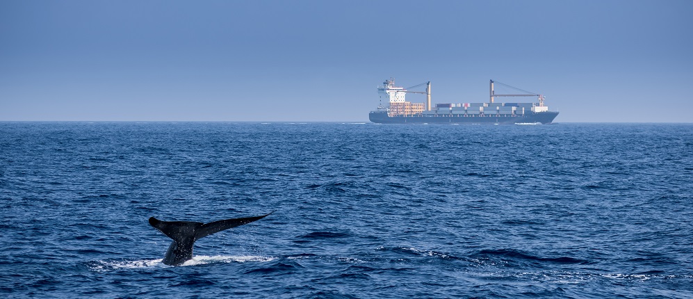 MARPOL Consolidated Edition 2022 (e-book)